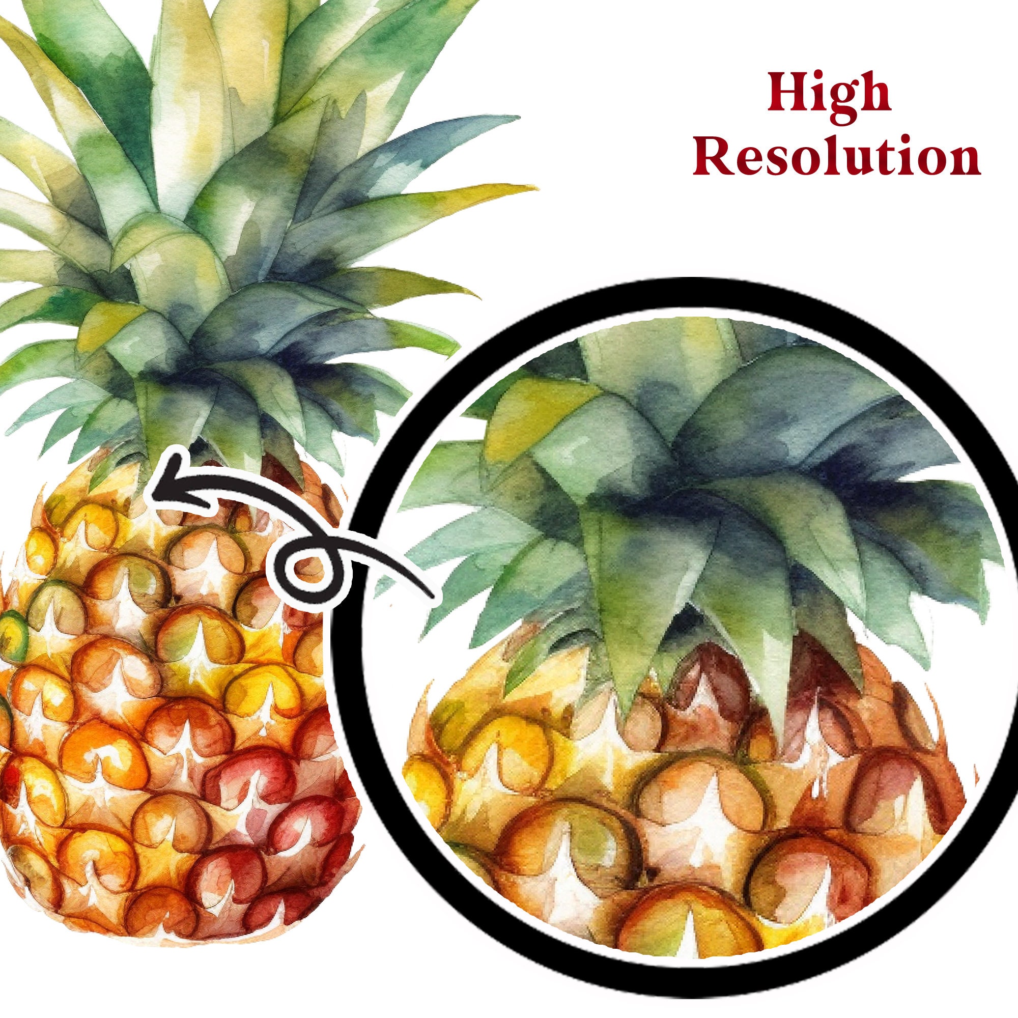 Watercolor Pineapple Clipart Tropical Fruit PNG Fruit Art Instant ...