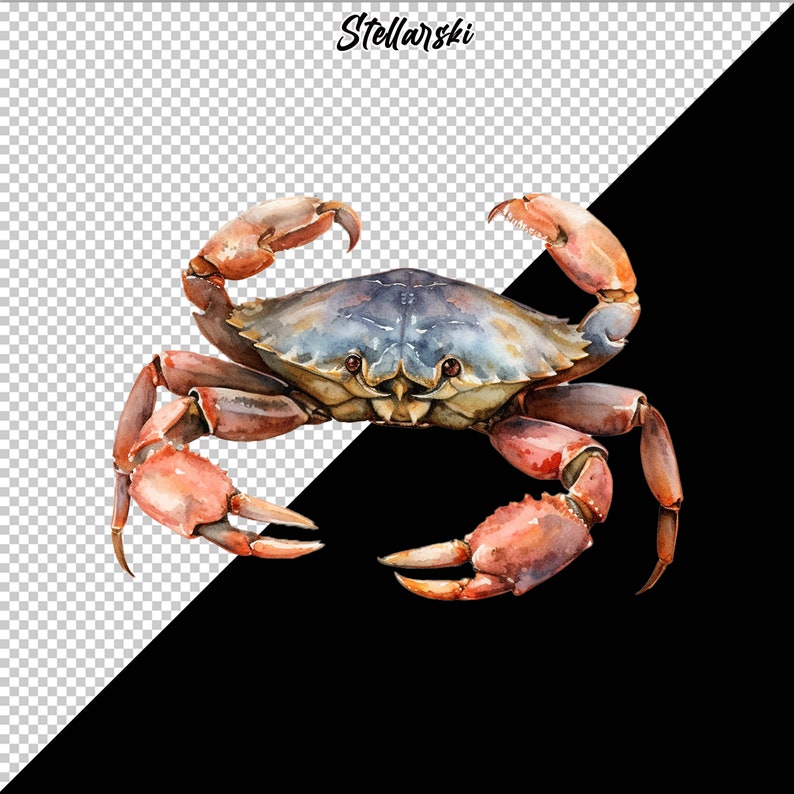 Watercolor Crab Clipart, Crabs PNG, Sea Animal Illustration Printable ...