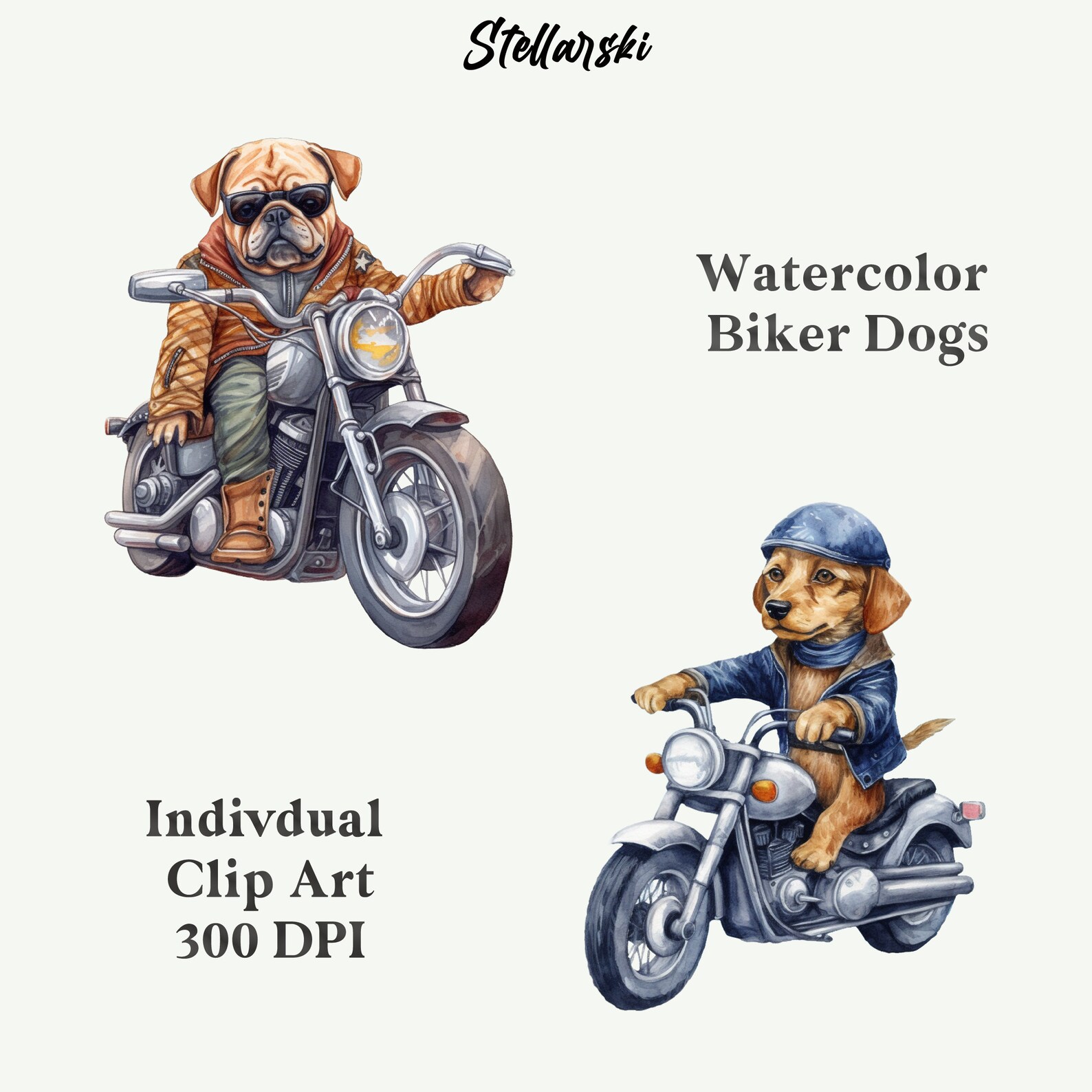 Biker Dogs Clipart | Motorcycle Dog PNG | Watercolor Dogs on Bikes ...