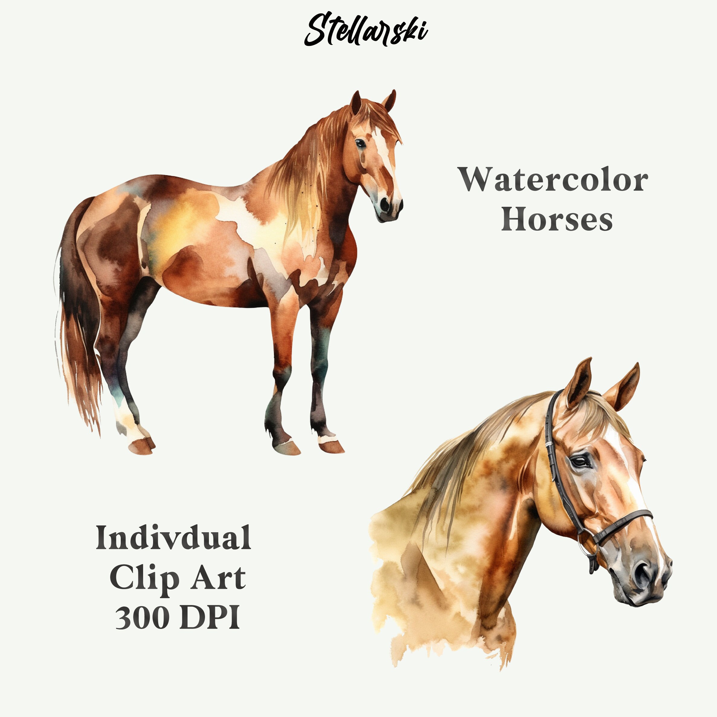 Horse PNG | Horse Clipart Bundle | Watercolor Horse Clipart | Western ...