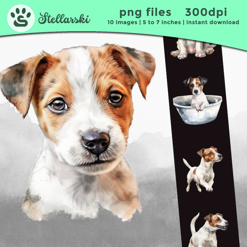 Jack Russell Clipart | Jack Russel Terrier PNG | Dog PNG | Watercolor ...