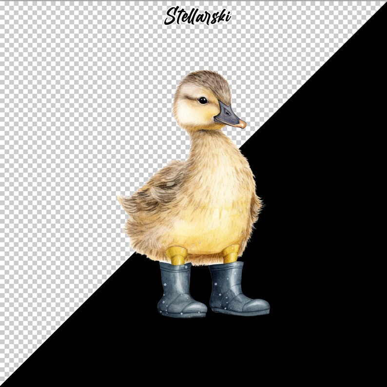 Patitos en imágenes prediseñadas de botas de lluvia, paquete de ...
