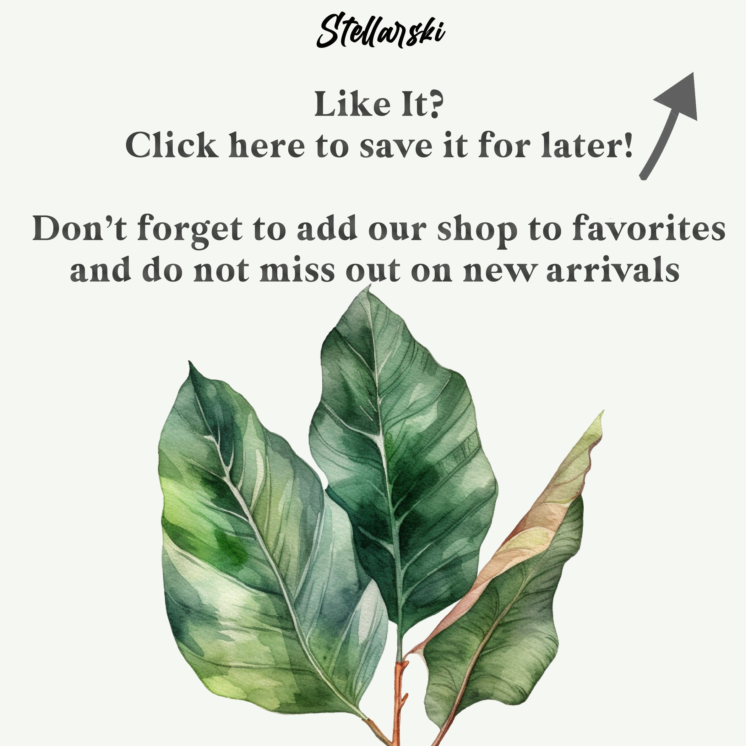 Tropical Leaves Clipart Green Jungle Leaves Green Monstera Leaves PNG ...