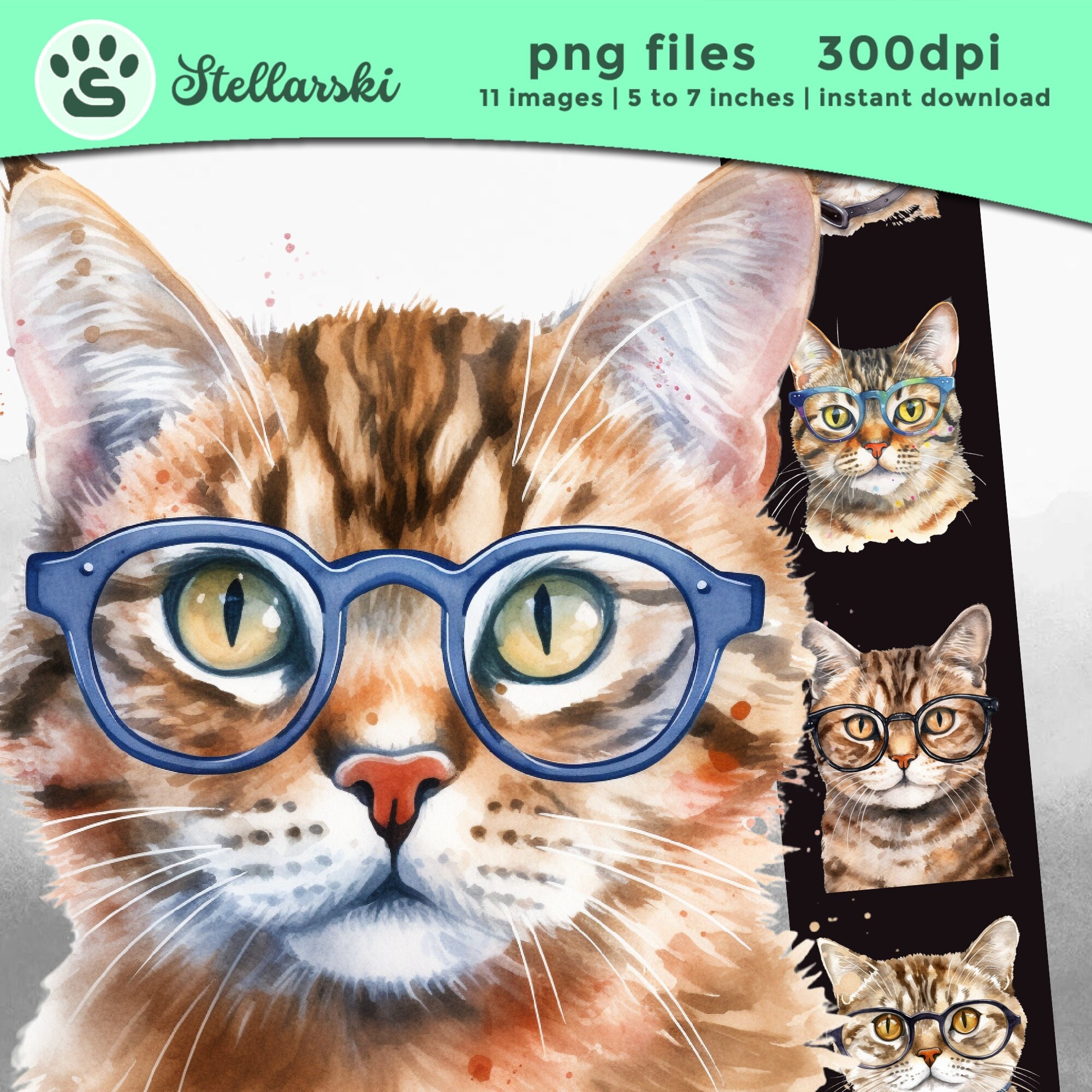 Fluffy Cat in Glasses Clipart PNG, Commercial Use, Watercolor Cats ...