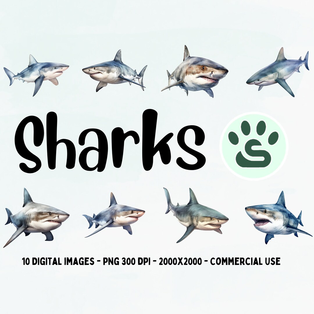 Watercolor Shark Clipart | Ocean Animals PNG | Sea Life Images | Great ...