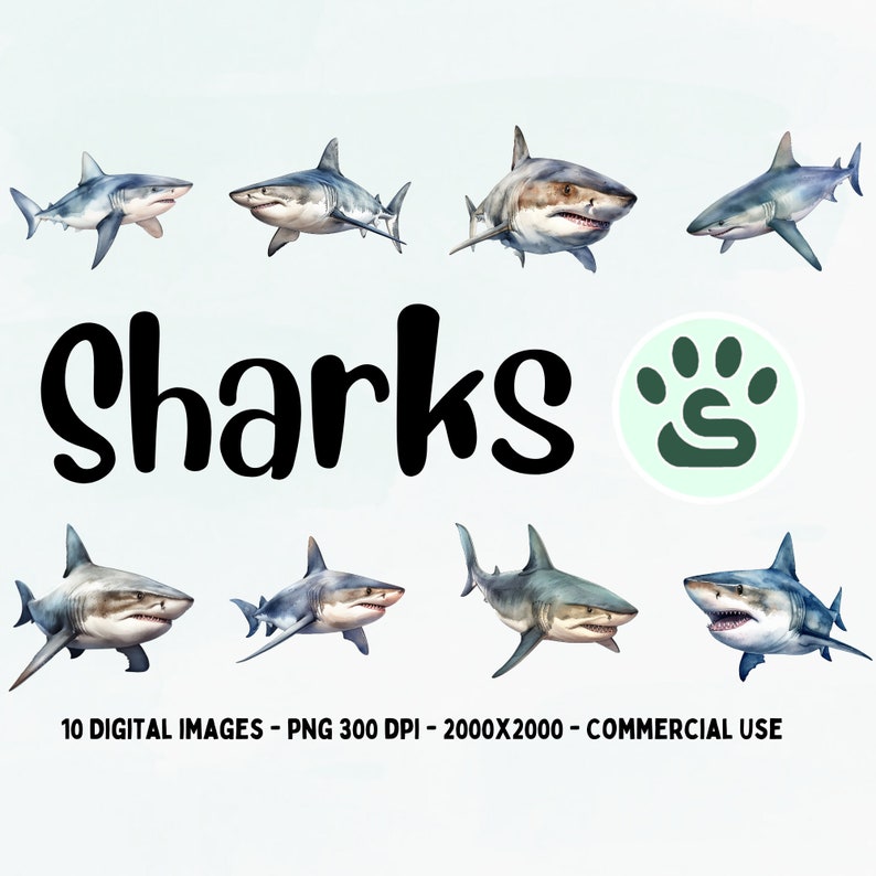Watercolor Shark Clipart | Ocean Animals PNG | Sea Life Images | Great ...