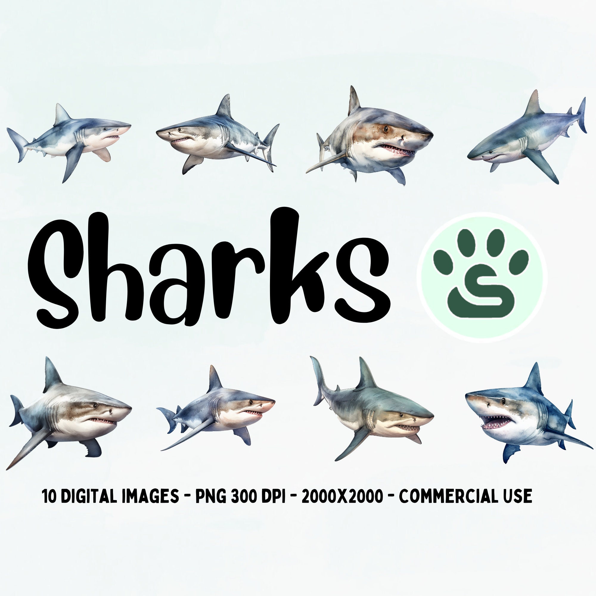Watercolor Shark Clipart | Ocean Animals PNG | Sea Life Images | Great ...