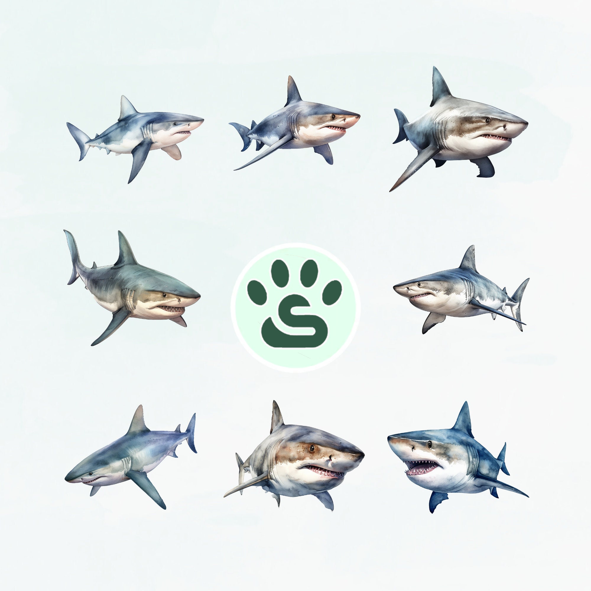 Watercolor Shark Clipart | Ocean Animals PNG | Sea Life Images | Great ...