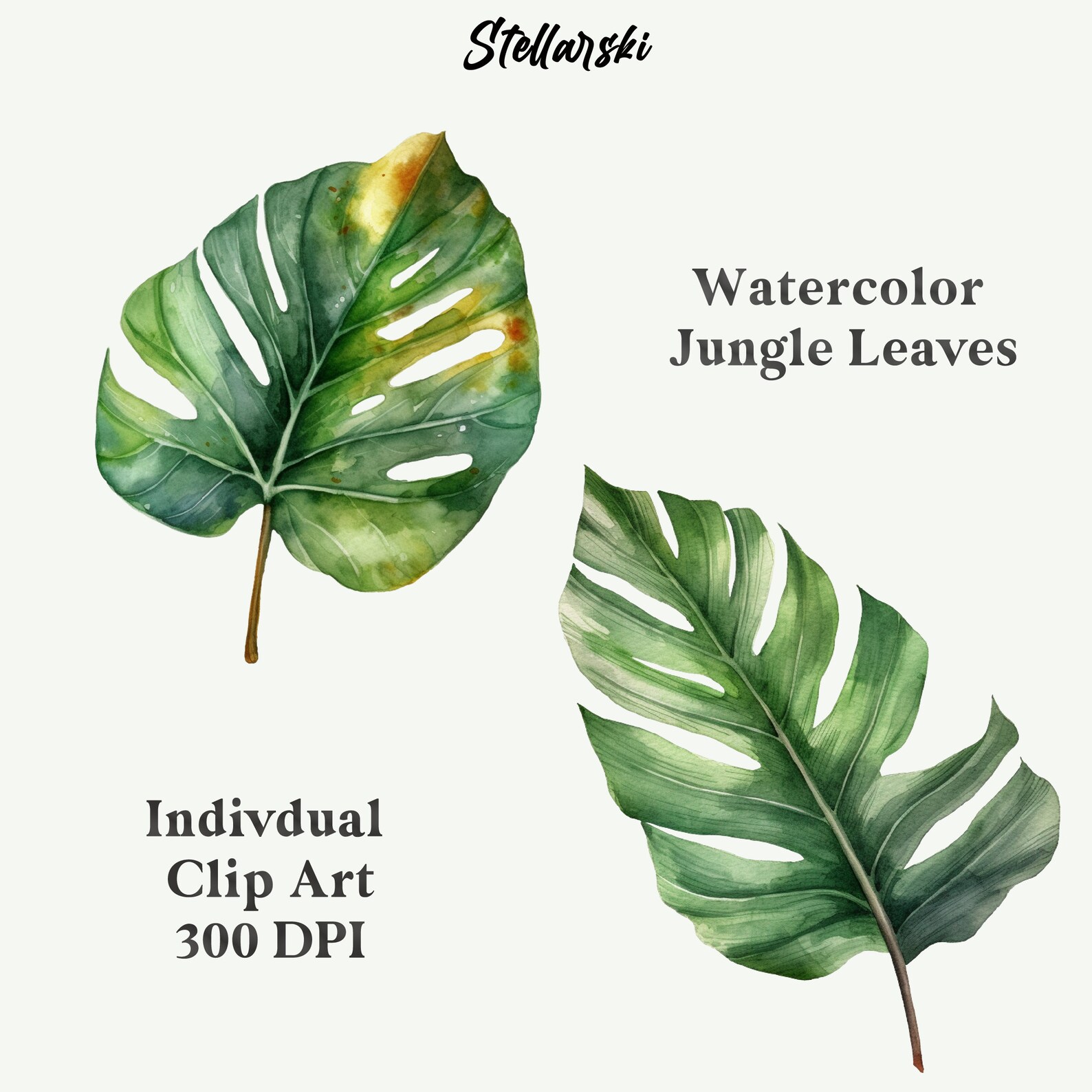 Tropical Leaves Clipart | Green Jungle Leaves | Green Monstera Leaves ...