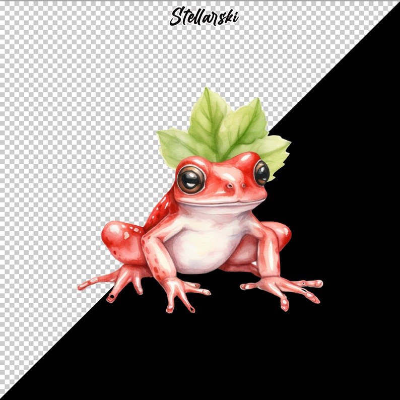 Red Strawberry Frog PNG | Red Frog Bird | Cute Colorful Frog PNG ...