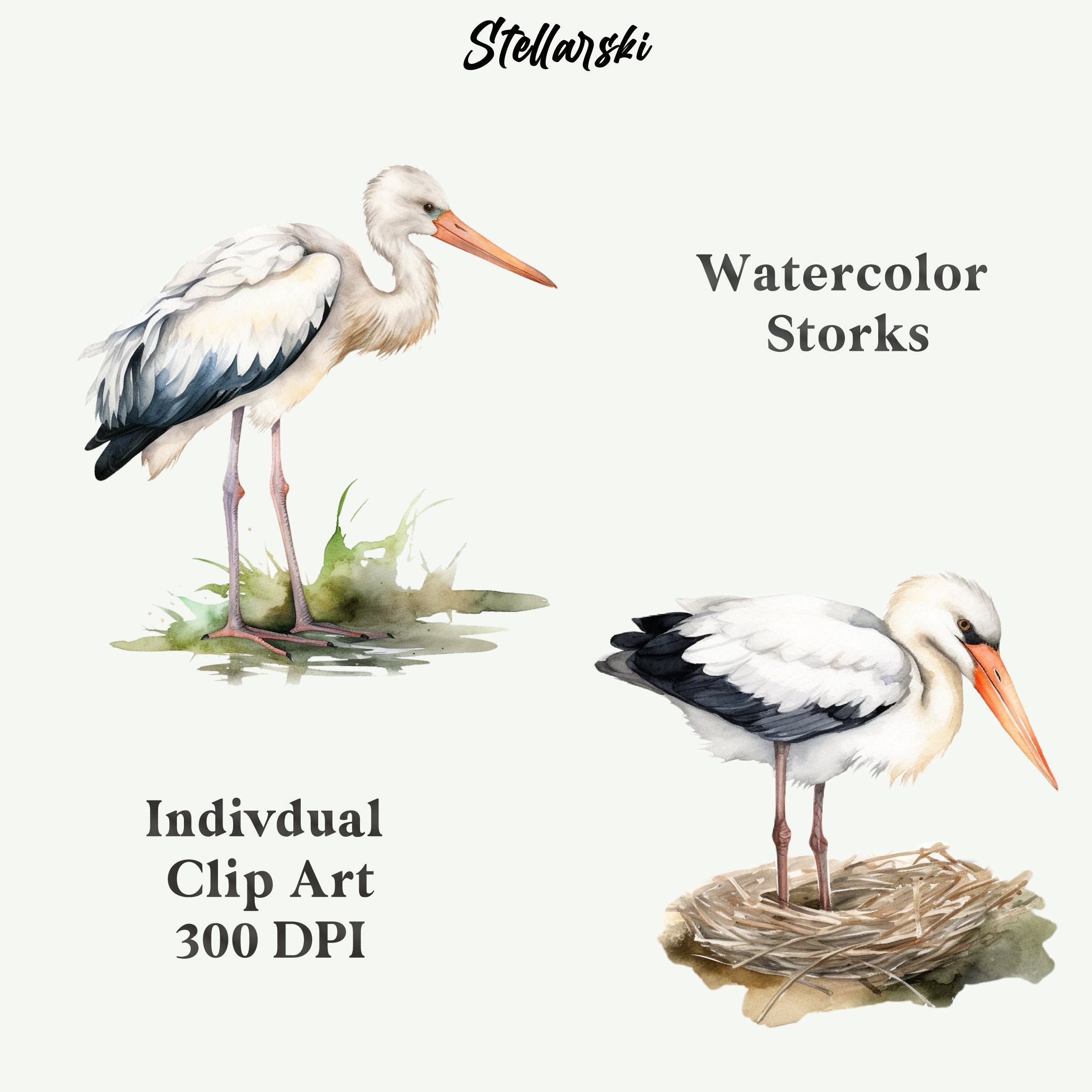 Watercolor Stork Clipart | Stork Baby Shower PNG | Farm Animals ...