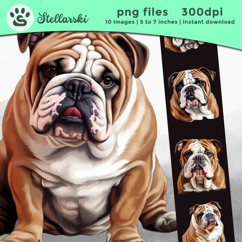 English Bulldog Clipart, English Bulldog PNG, English Bulldog ...