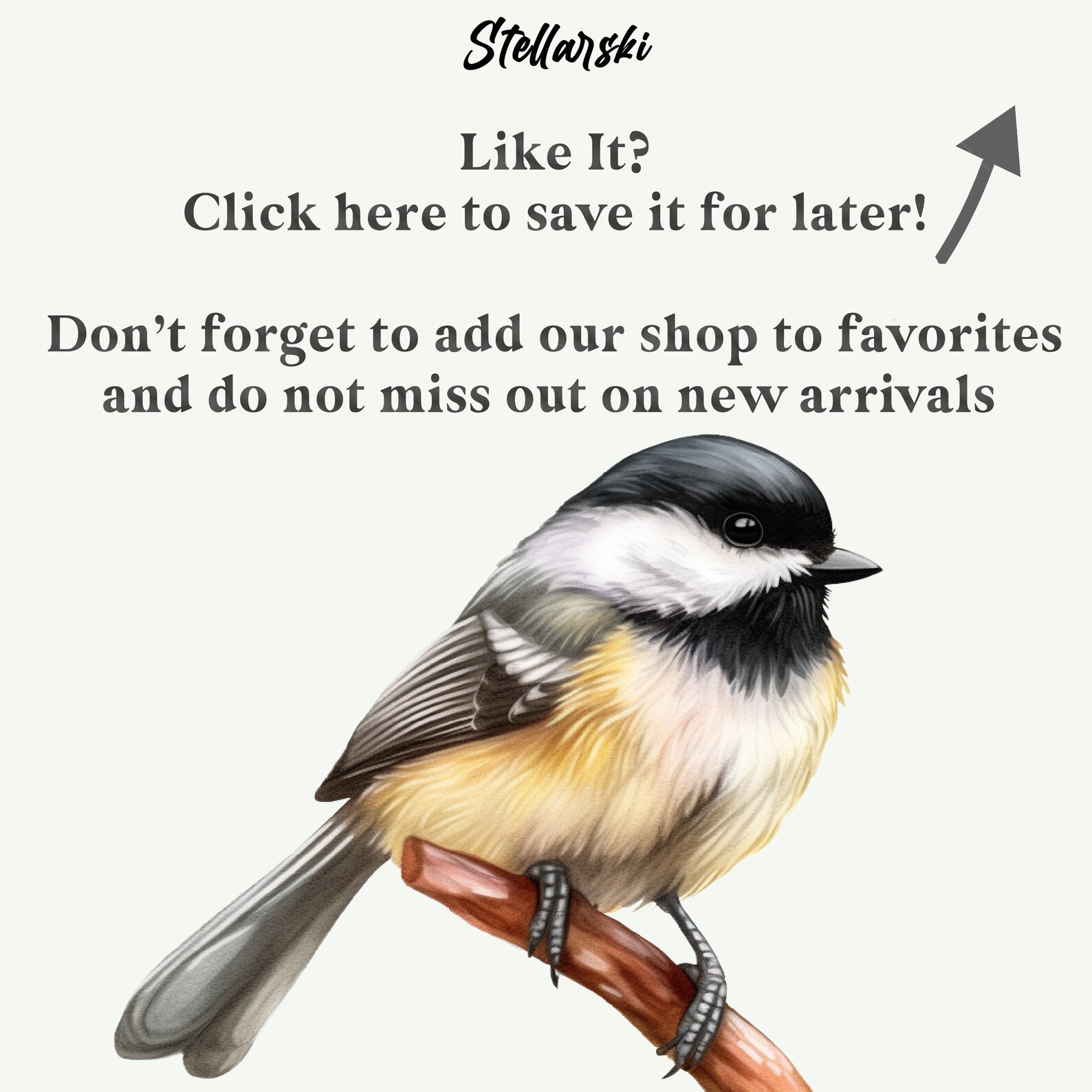 Chickadee PNG | Chickadee Clipart Set | Watercolor Chickadee | Birds ...