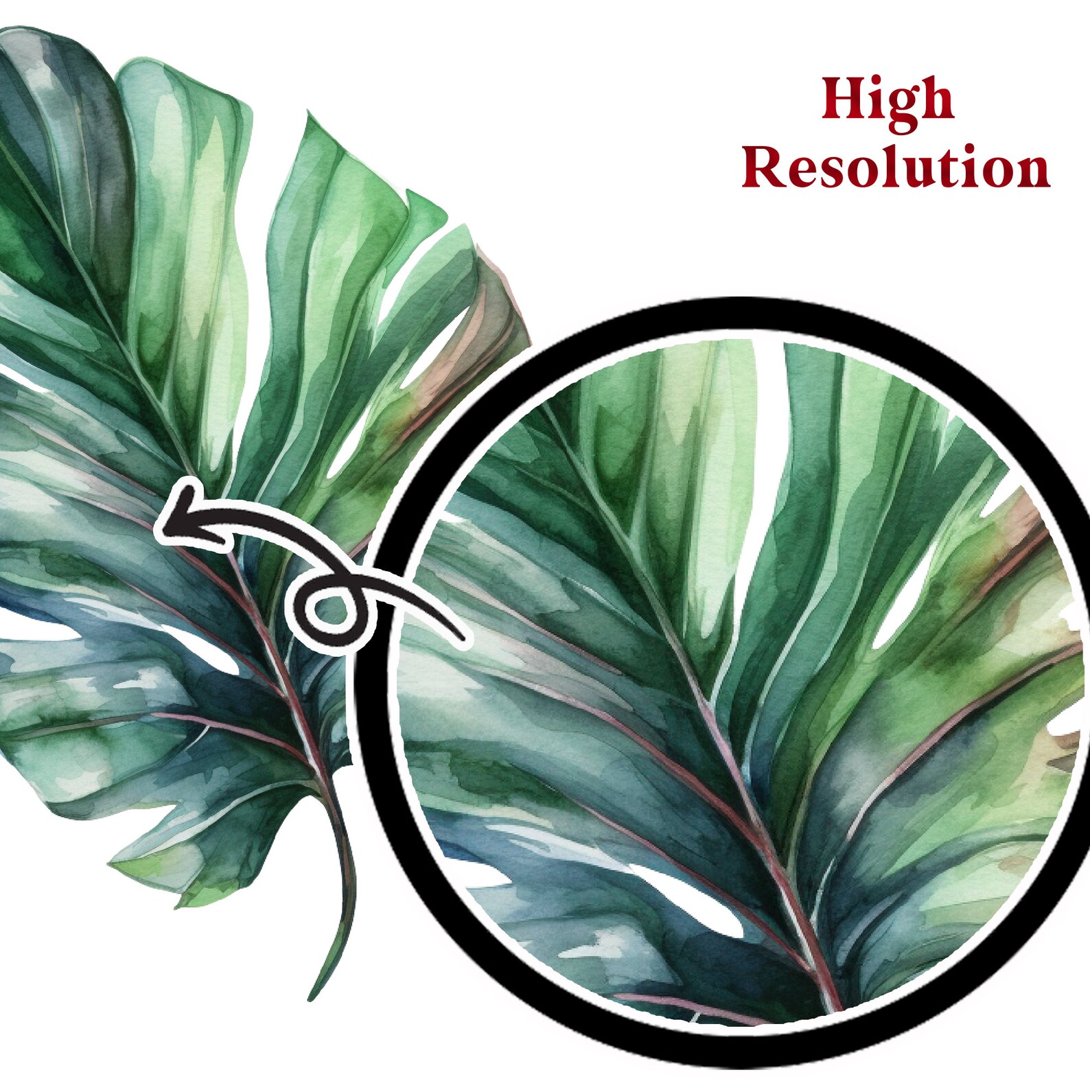 Tropical Leaves Clipart | Green Jungle Leaves | Green Monstera Leaves ...