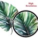 Tropical Leaves Clipart | Green Jungle Leaves | Green Monstera Leaves ...