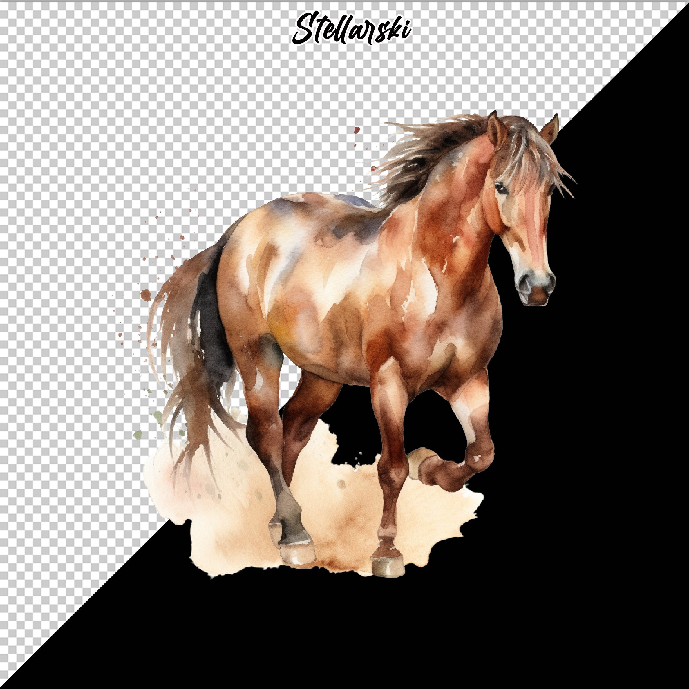Horse PNG Horse Clipart Bundle Watercolor Horse Clipart Western Clipart ...