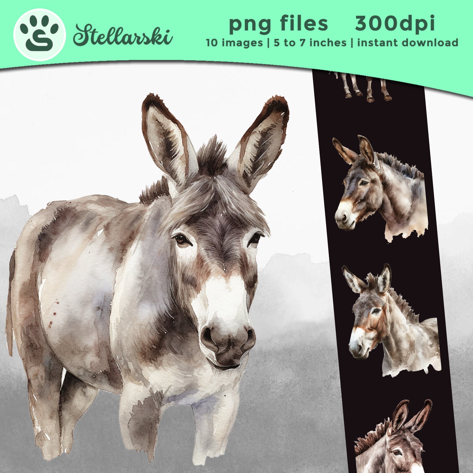 Watercolor Donkey Clipart | Donkey PNG Bundle | Farm Animals PNG | Cute ...