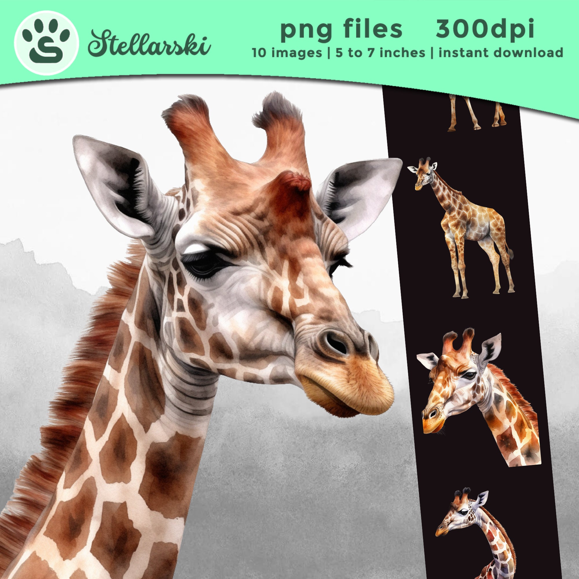 Cute Giraffe Watercolor Clipart Baby Shower Images Nursery Decor Wall ...