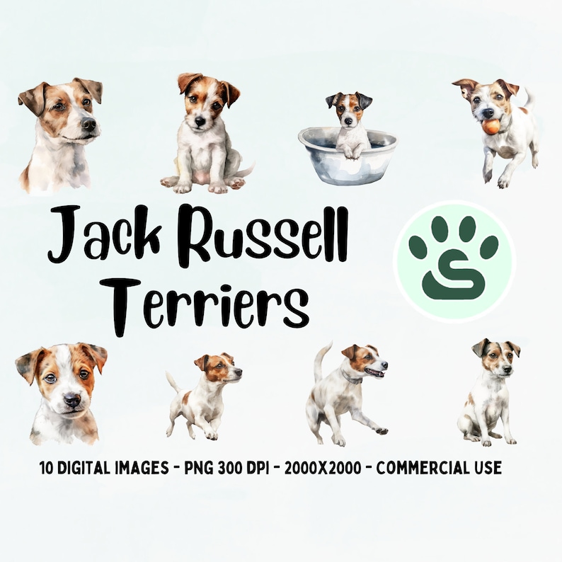 Jack Russell Clipart | Jack Russel Terrier PNG | Dog PNG | Watercolor ...