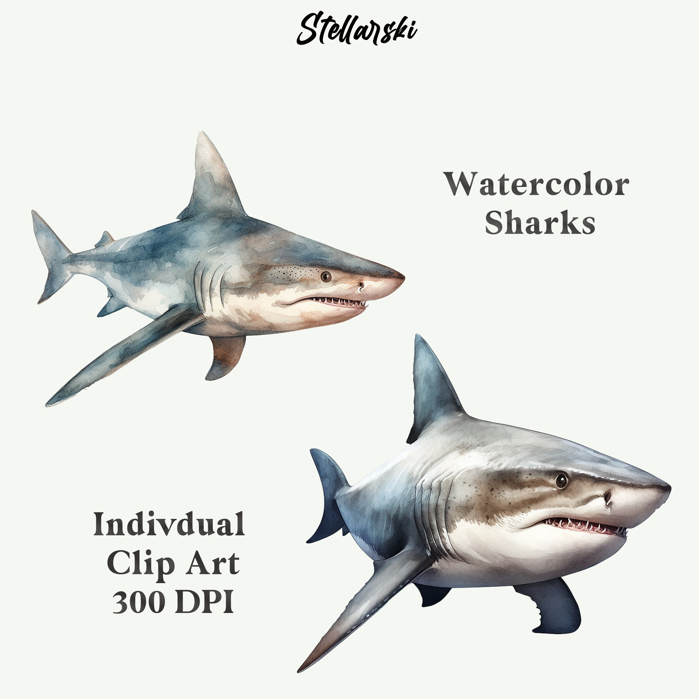Watercolor Shark Clipart | Ocean Animals PNG | Sea Life Images | Great ...