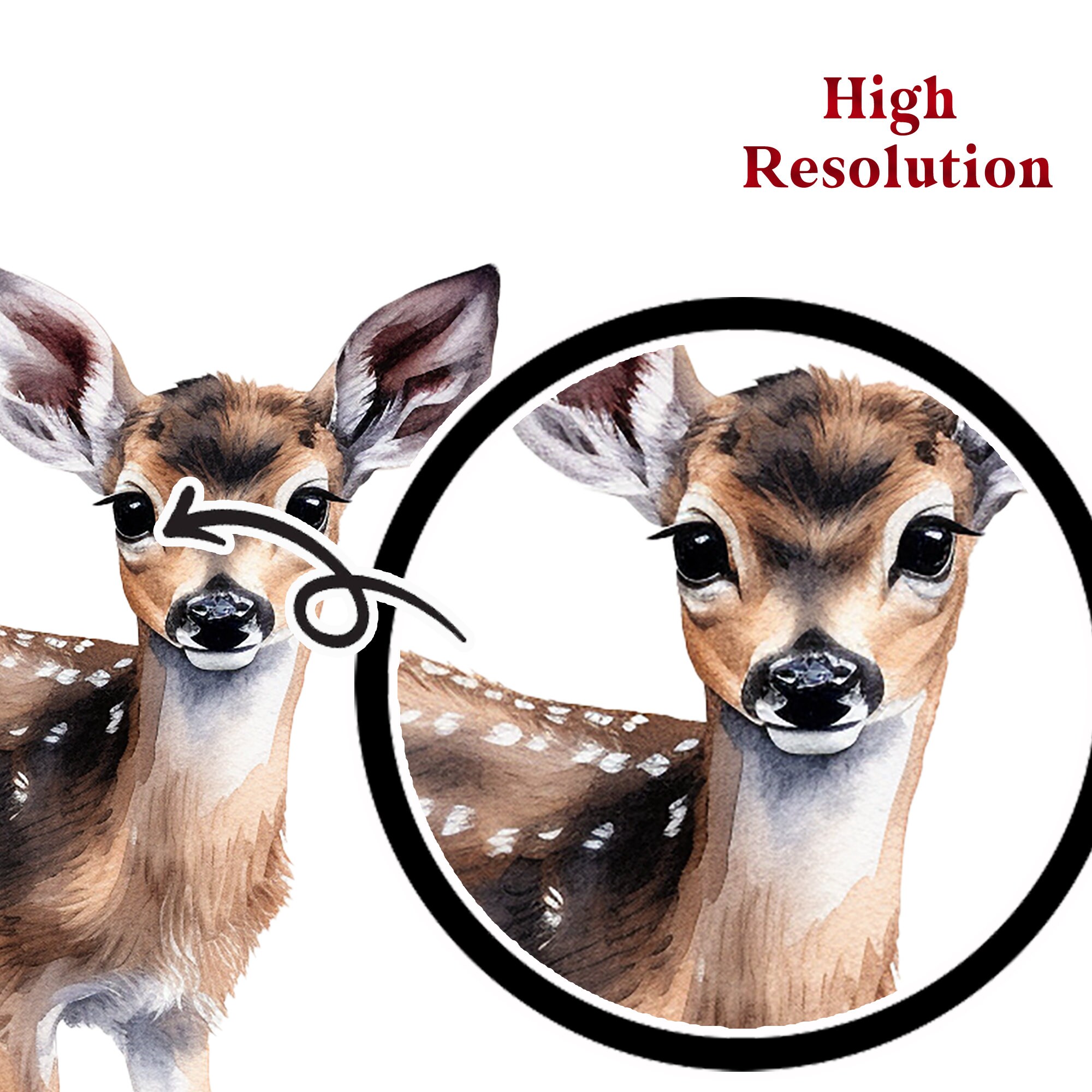 Baby Deer PNG Fawn Clipart Forest Animal PNG Watercolor Deers Clipart ...