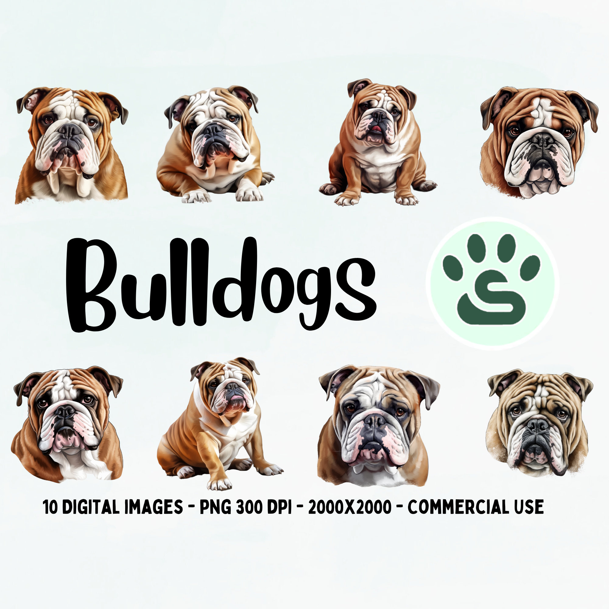 English Bulldog Clipart, English Bulldog PNG, English Bulldog ...