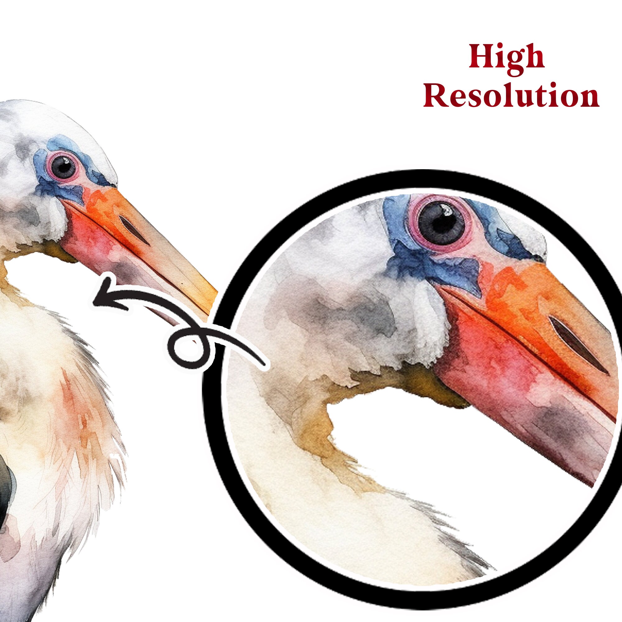 Watercolor Stork Clipart | Stork Baby Shower PNG | Farm Animals ...