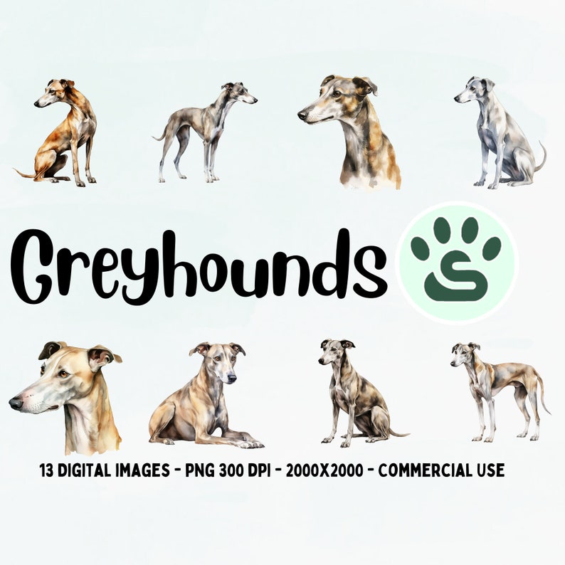 Greyhound Watercolor Clipart, Greyhounds PNG, Greyhound Illustration ...