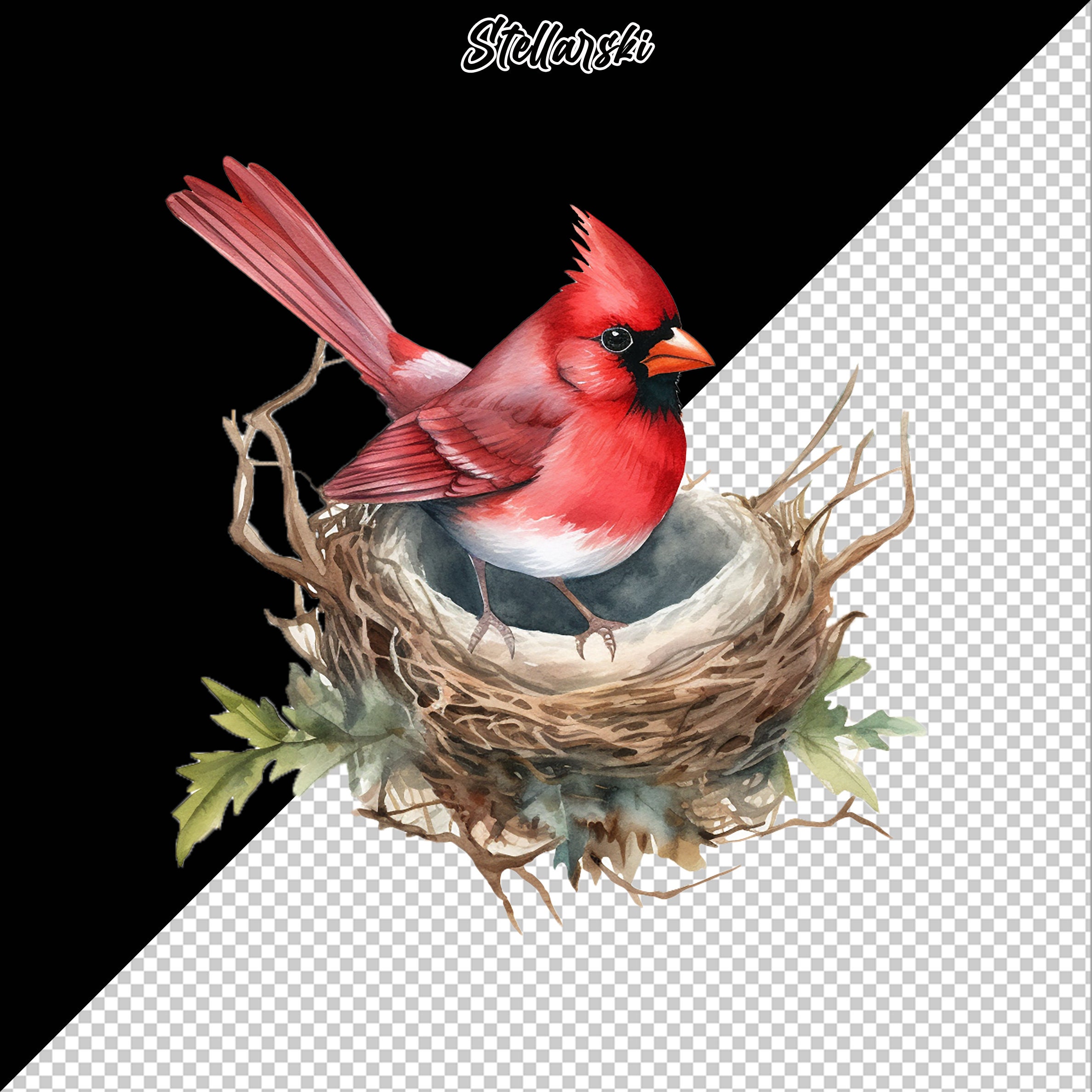 Red Cardinal Nest PNG | Red Cardinal Bird Nest | Colorful Bird PNG ...