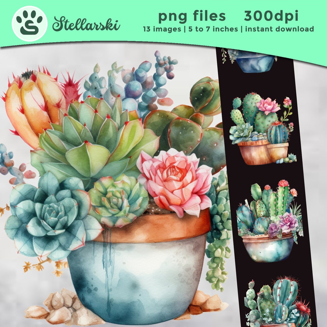 Watercolor Desert Cactus Clipart, Succulent Clipart, Printable Cactus ...