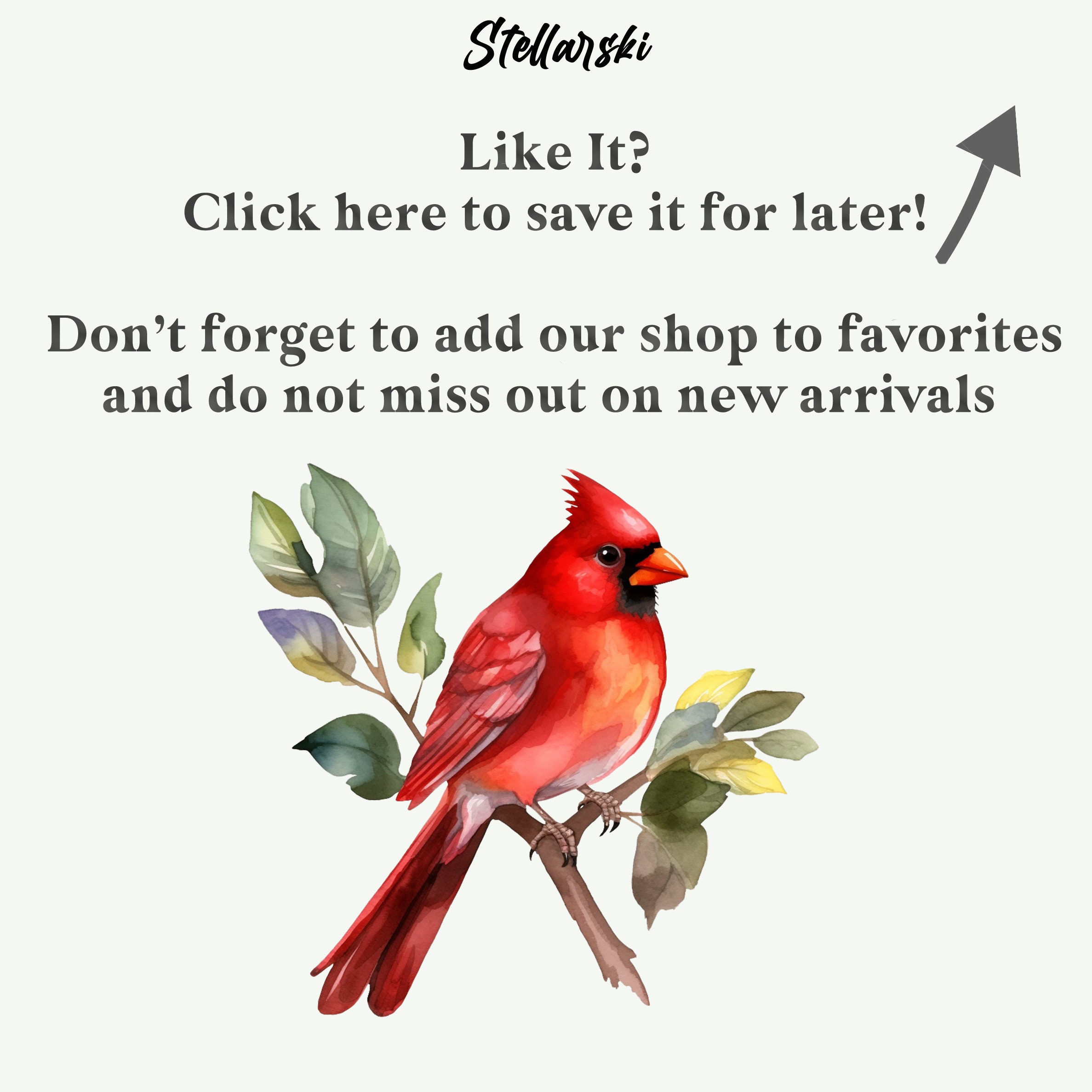 Red Cardinal PNG | Red Cardinal Bird | Cute Colorful Bird PNG ...