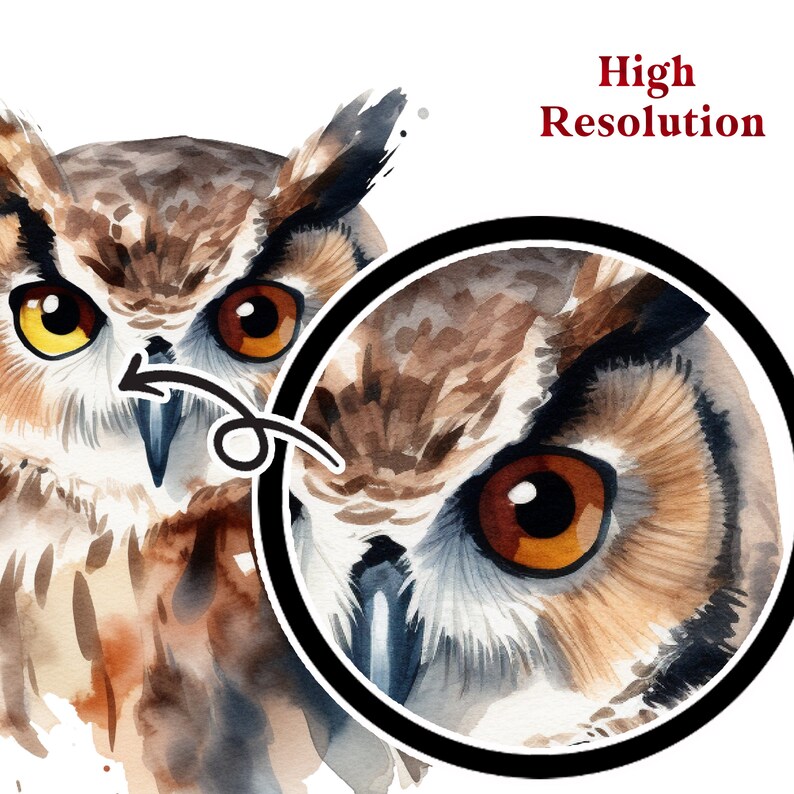 Owl PNG Watercolor Owl Cute Bird PNG Watercolor Owls - Etsy