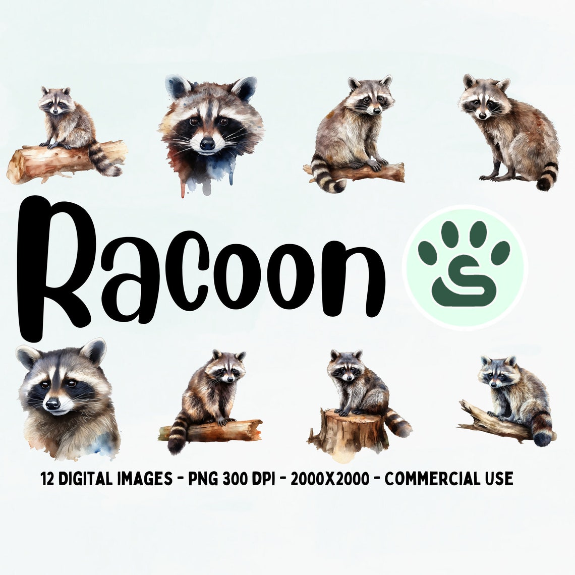 Cute Racoon PNG Racoon Clipart Baby Animal Clipart Bundle Watercolor ...