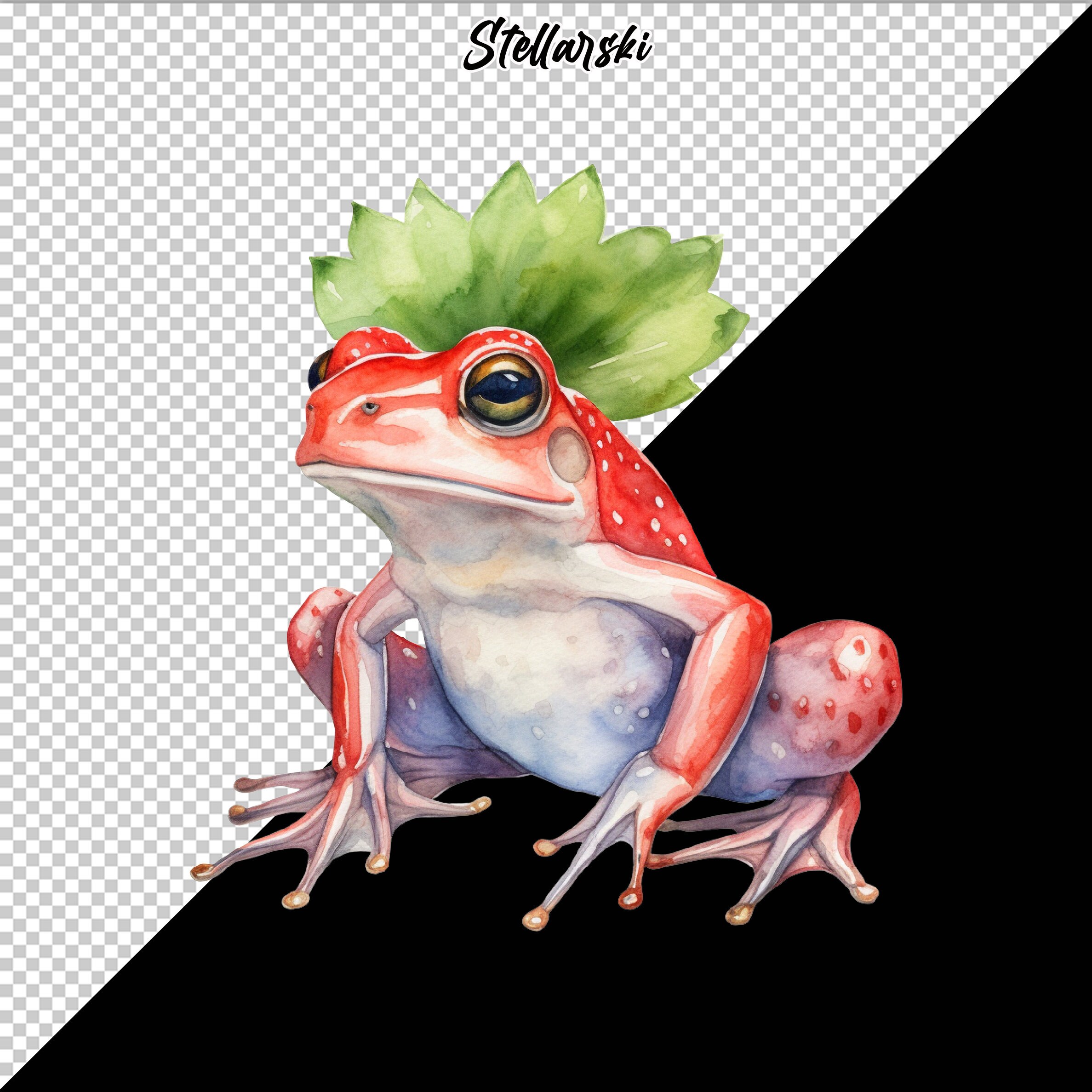 Red Strawberry Frog PNG | Red Frog Bird | Cute Colorful Frog PNG ...