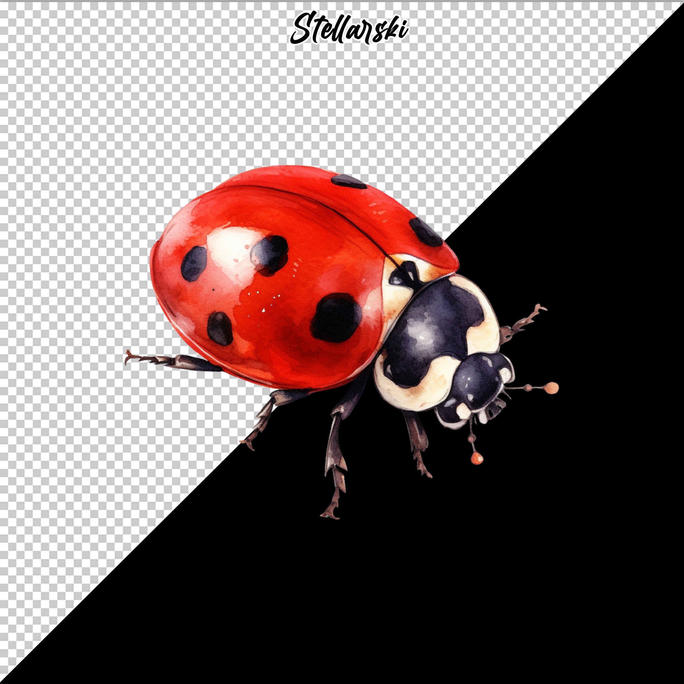 Red Ladybug PNG Ladybug Insect Cute Colorful Ladybug PNG Watercolor ...