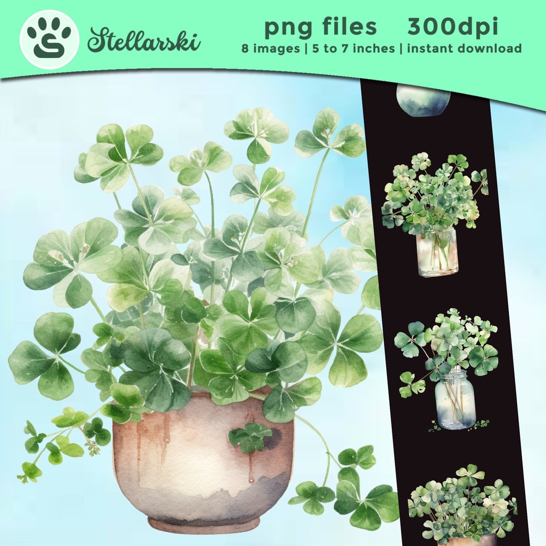 Watercolor Clover Clipart Bundle, Floral Shamrock, Spring Clipart ...