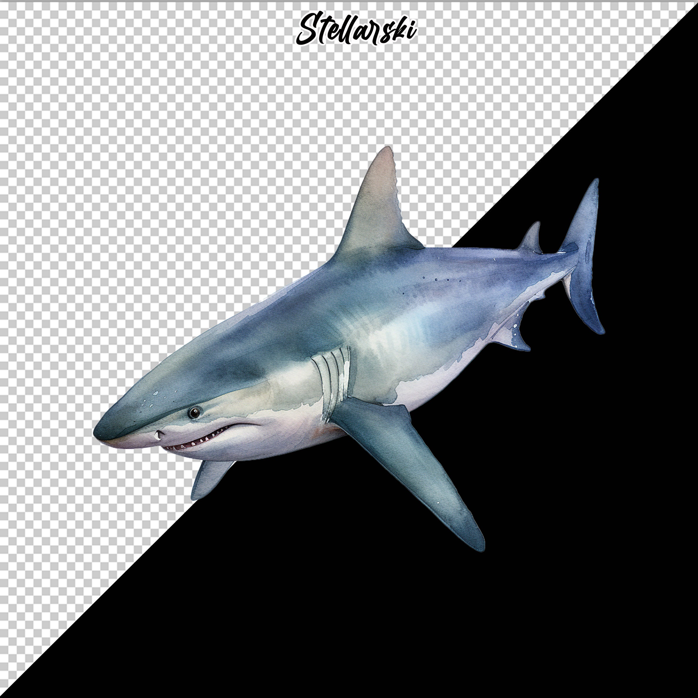 Watercolor Shark Clipart | Ocean Animals PNG | Sea Life Images | Great ...