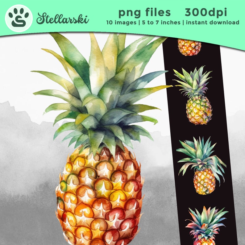 Watercolor Pineapple Clipart Tropical Fruit PNG Fruit Art - Etsy