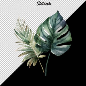 Tropical Leaves Clipart | Green Jungle Leaves | Green Monstera Leaves ...