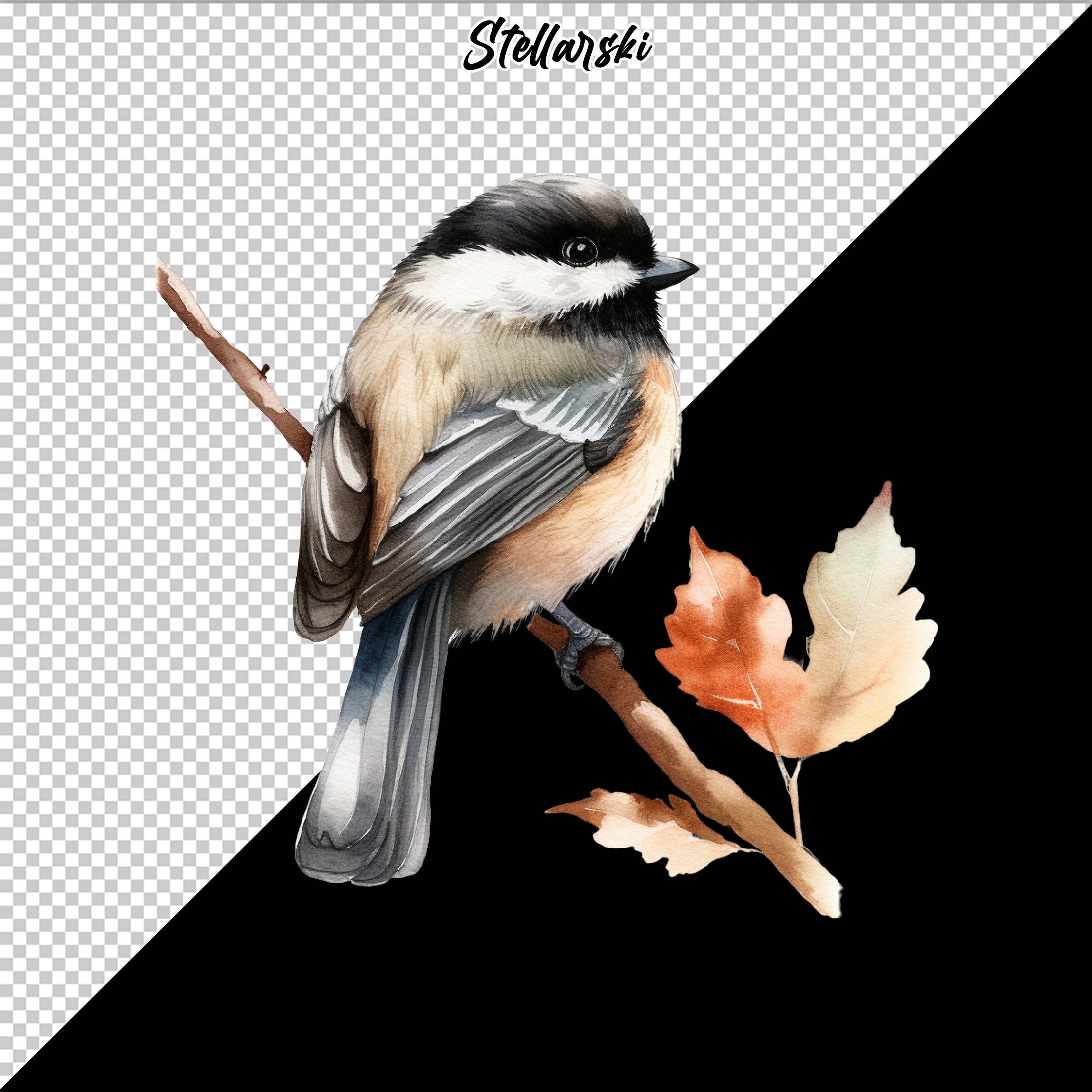 Chickadee PNG | Chickadee Clipart Set | Watercolor Chickadee | Birds ...
