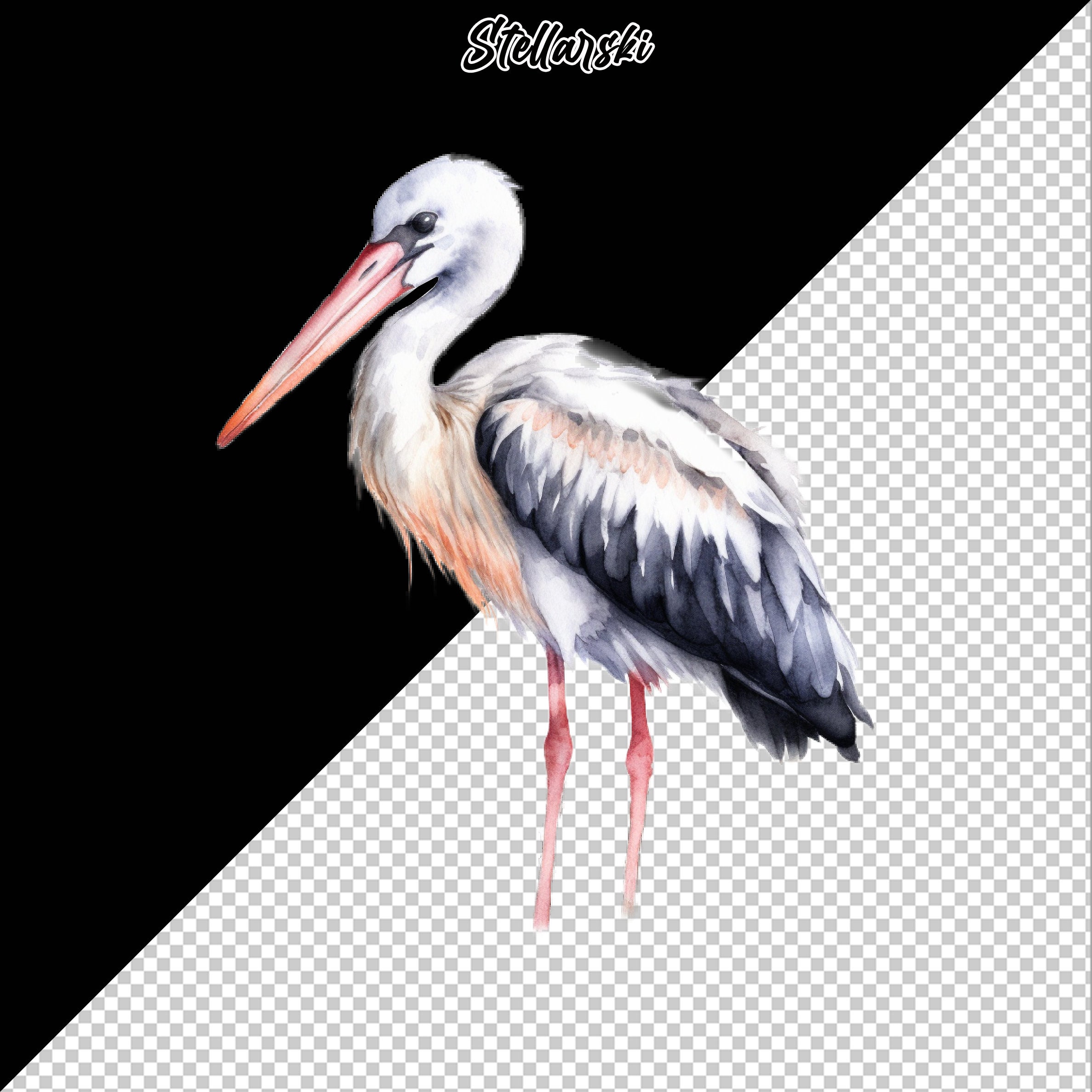 Watercolor Stork Clipart | Stork Baby Shower PNG | Farm Animals ...