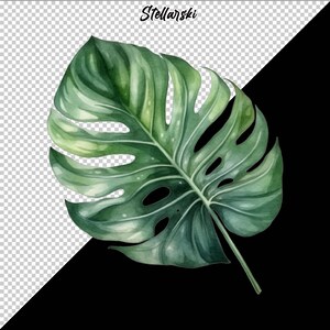 Tropical Leaves Clipart | Green Jungle Leaves | Green Monstera Leaves ...