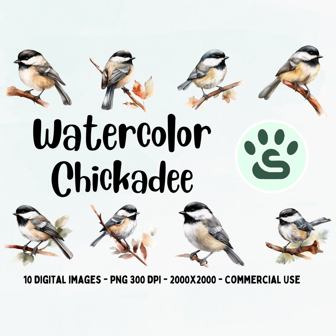 Chickadee PNG | Chickadee Clipart Set | Watercolor Chickadee | Birds ...