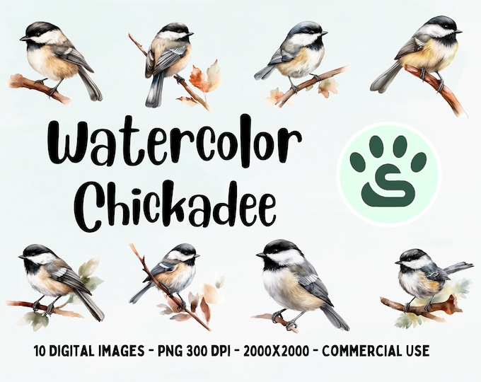 Chickadee in Vine Teacup PNG Clip Art, 12x Bird Clip Art Set, Printable ...