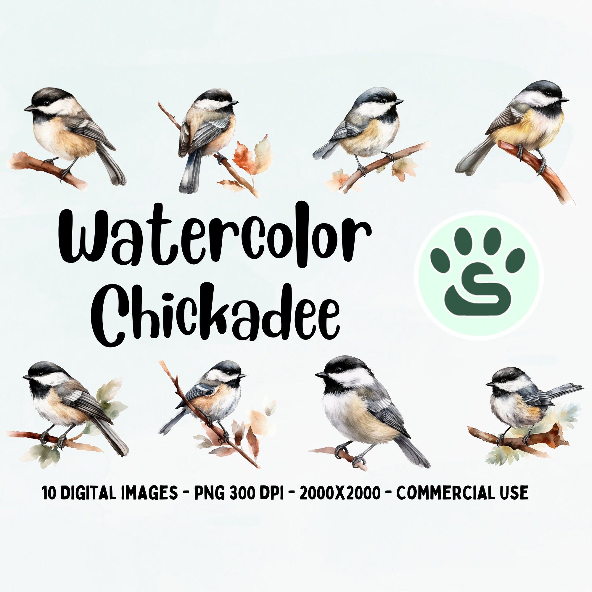 Chickadee PNG | Chickadee Clipart Set | Watercolor Chickadee | Birds ...
