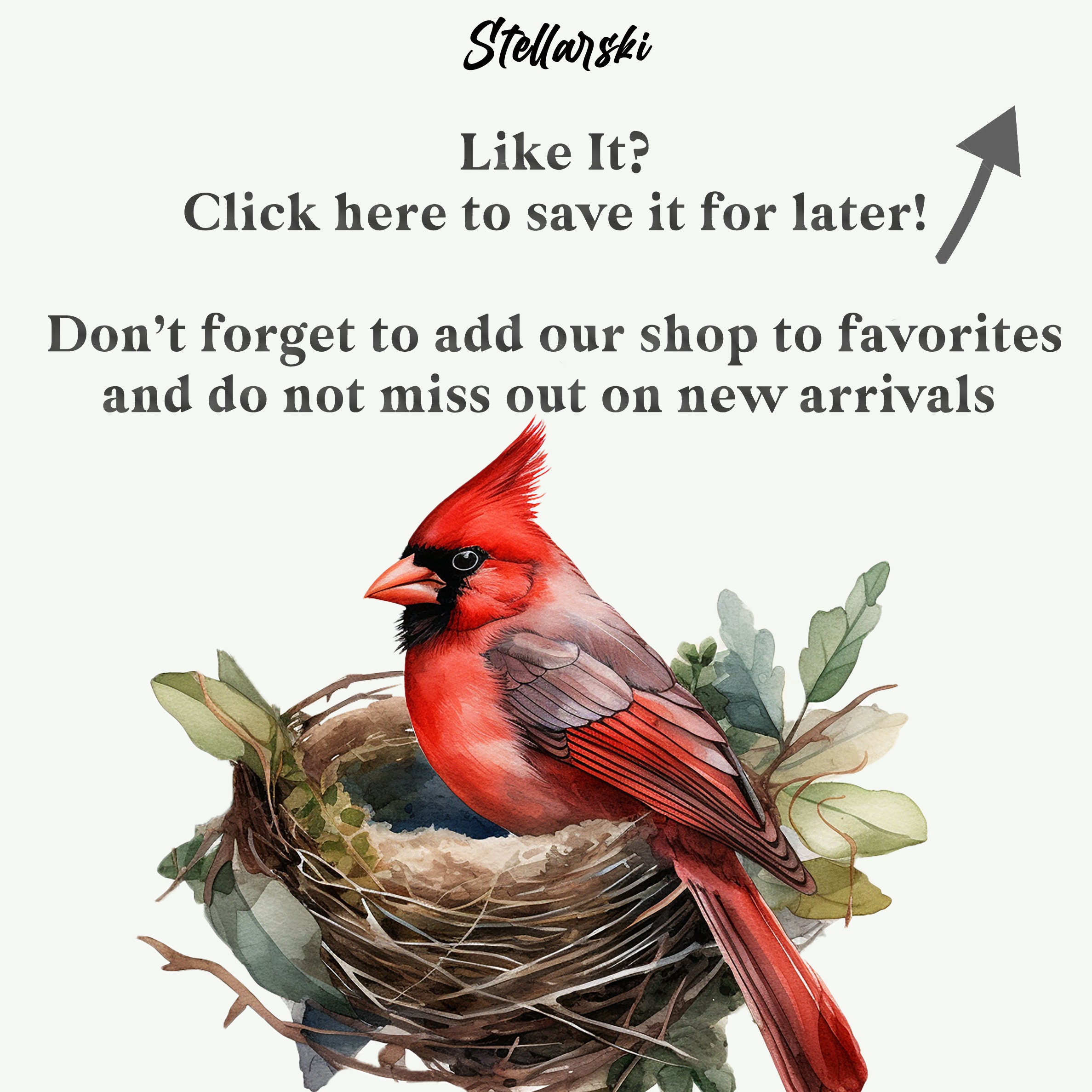 Red Cardinal Nest PNG Red Cardinal Bird Nest Colorful Bird - Etsy