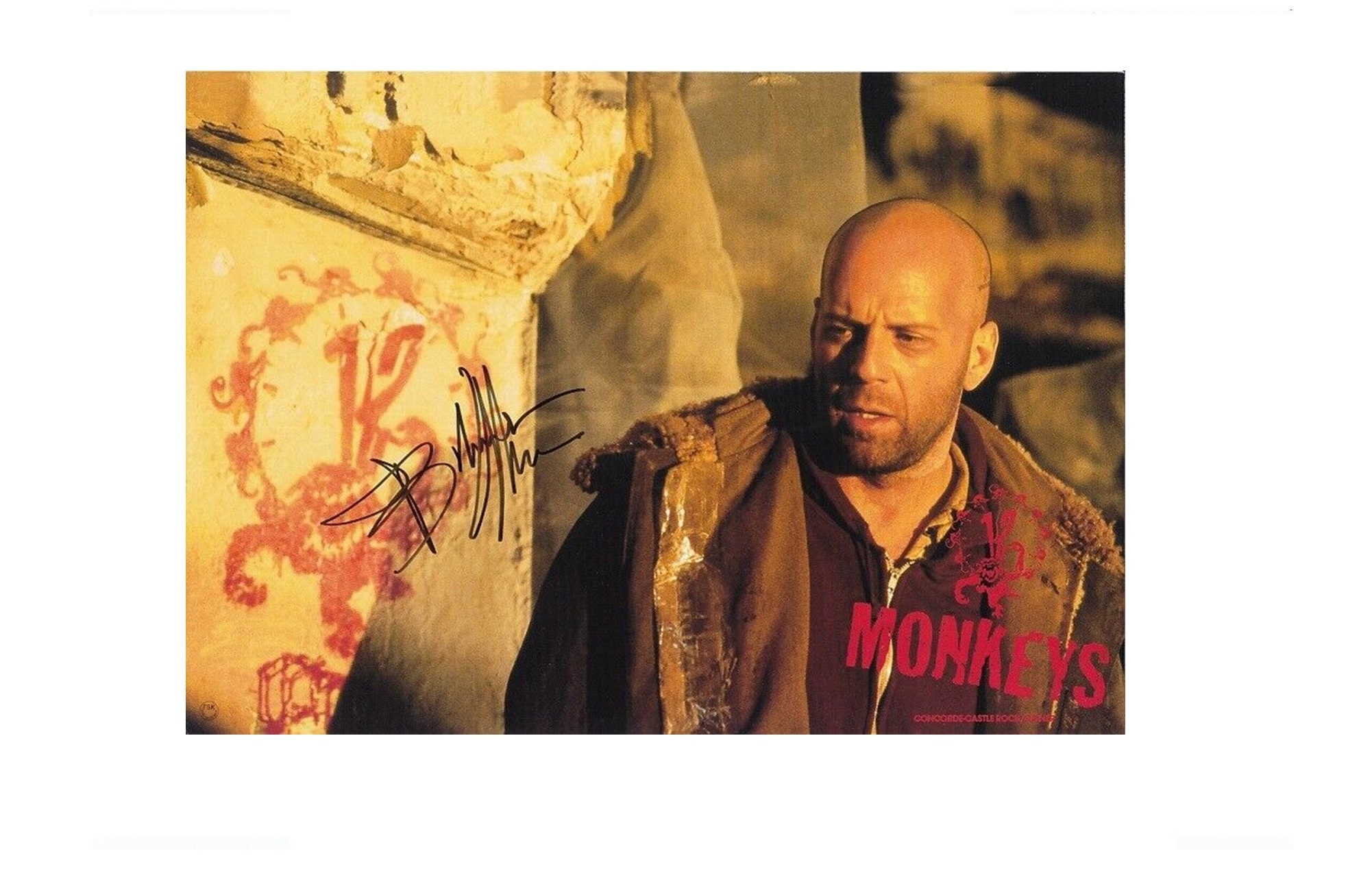 Bruce Willis 12 Monkeys Hand Signed Autograph Photograph 8x12 COA - Etsy