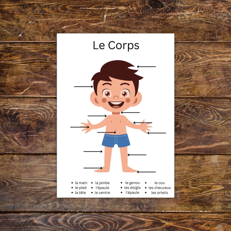 Parts of the Body Poster & Flashcard BUNDLE Homeschool Posters ...