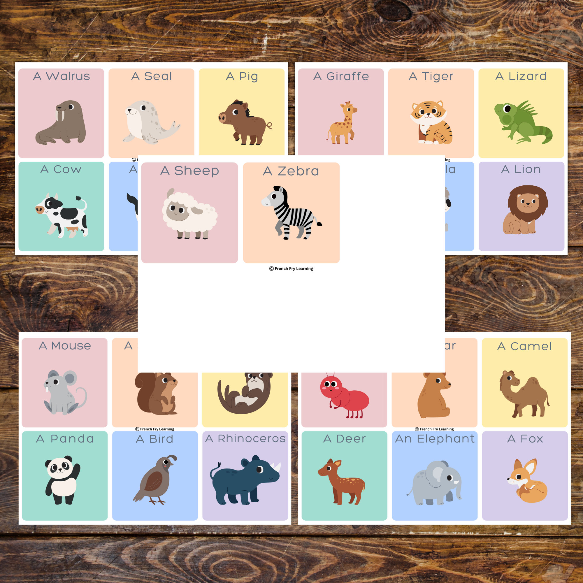 English Printable Animal Flash Cards Homeschool Posters Classroom Decor ...