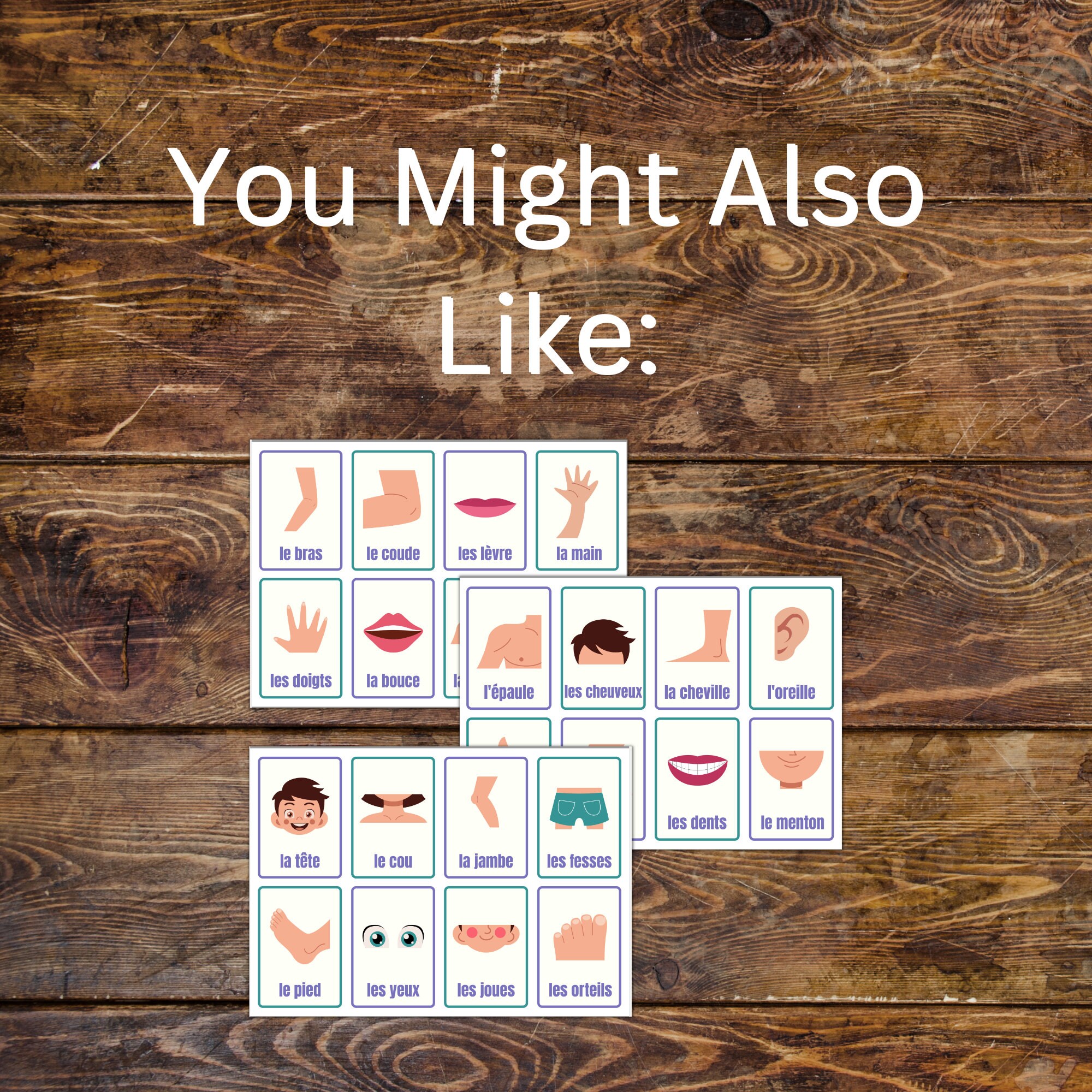 Parts of the Body Poster & Flashcard BUNDLE Homeschool Posters ...